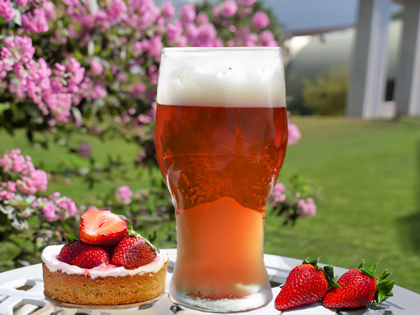 Strawberry Shortcake Red Cream Ale All Grain Beer Recipe Kit | Jasper's ...